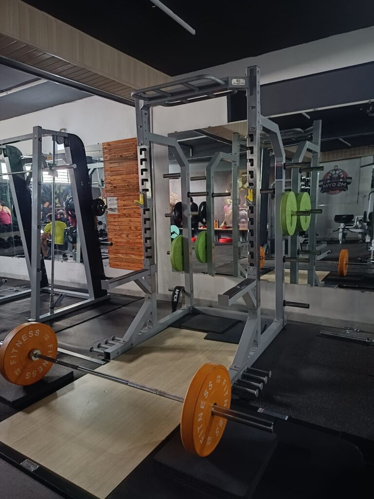 Home - MS Gym Indore: Your Path to Health & Fitness Excellence