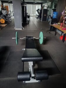 Home - MS Gym Indore: Your Path to Health & Fitness Excellence